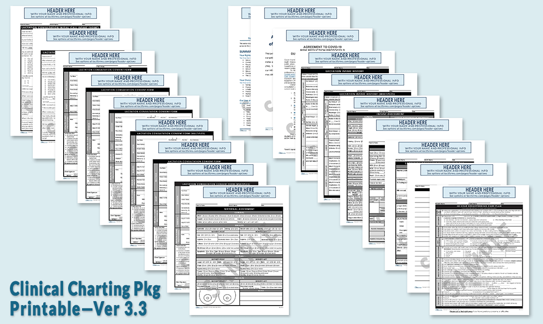 Clinical Charting Forms—Package – Diana West LactForms