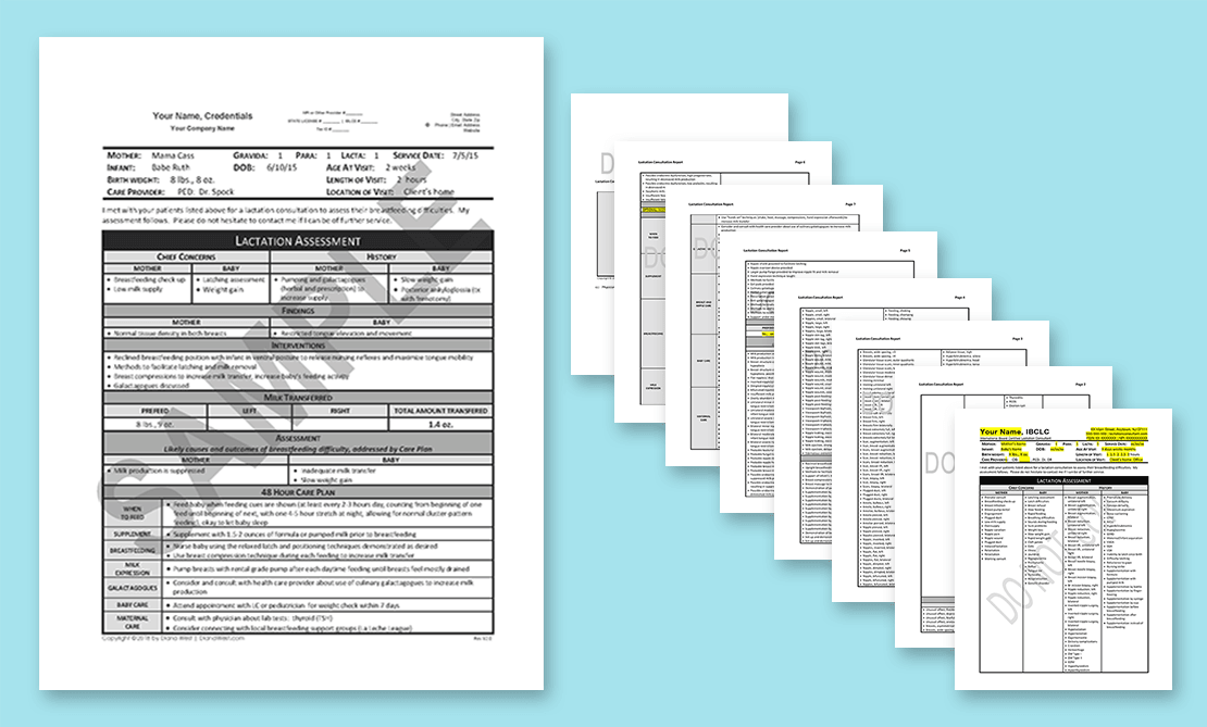 Reporting – Diana West LactForms